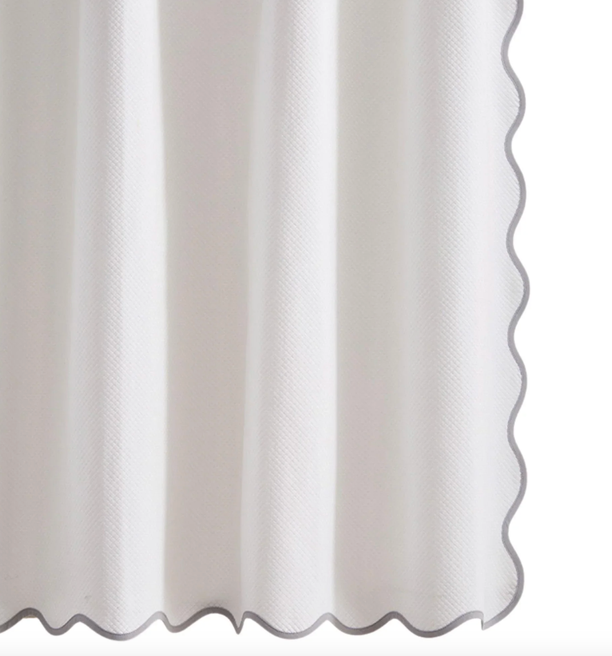 Devon Scallop I Shower Curtain – MADRE